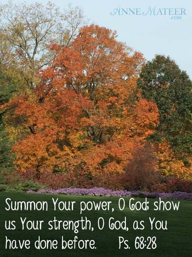 A Sunday Psalm D Ann Mateer a-sunday-psalm-d-ann-mateer