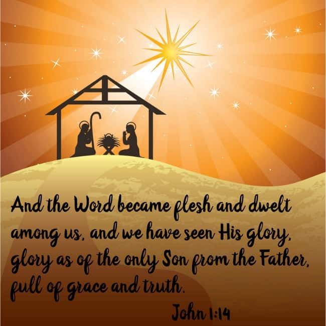 Merry Christmas! - D'Ann Mateer