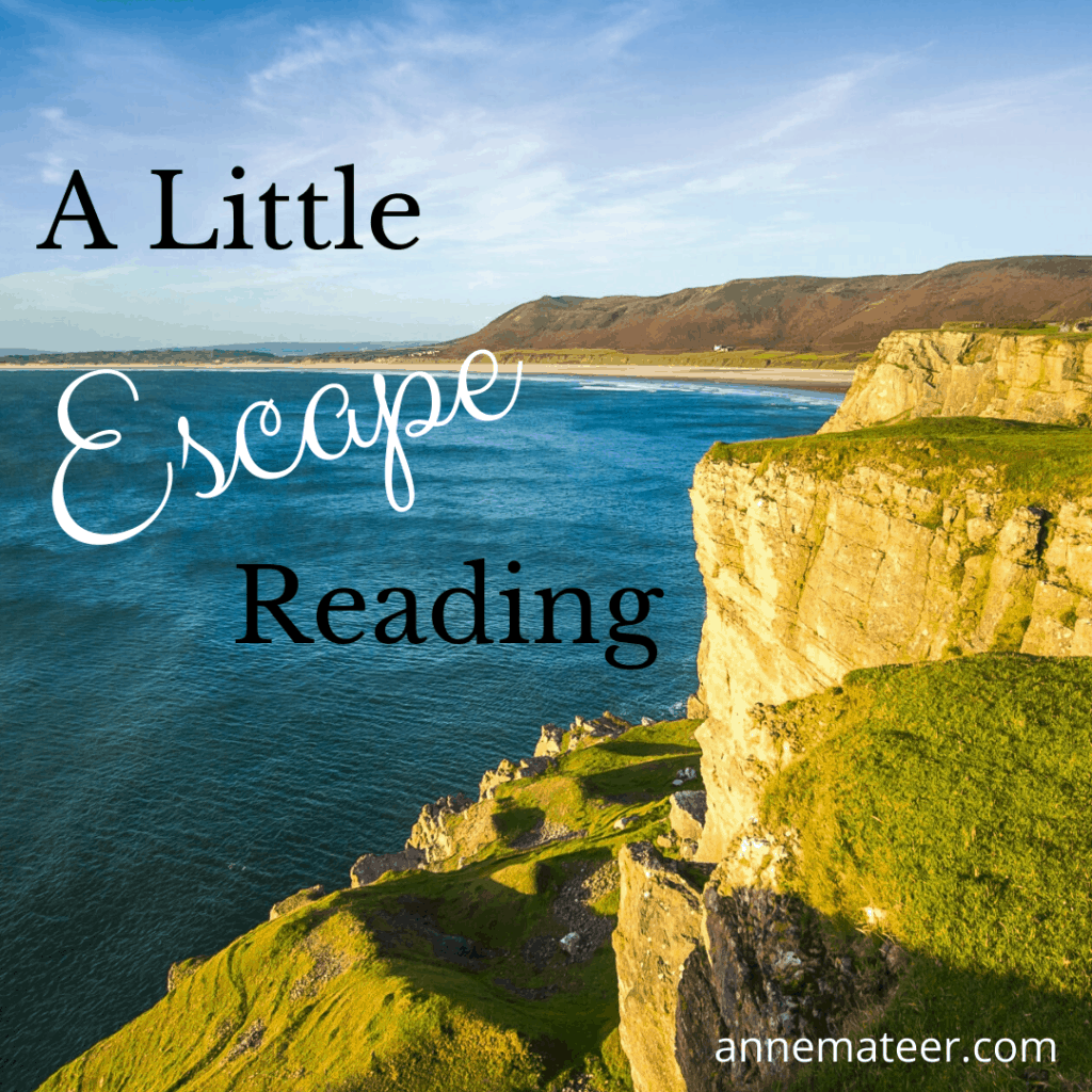 A Little Escape Reading - D'Ann Mateer