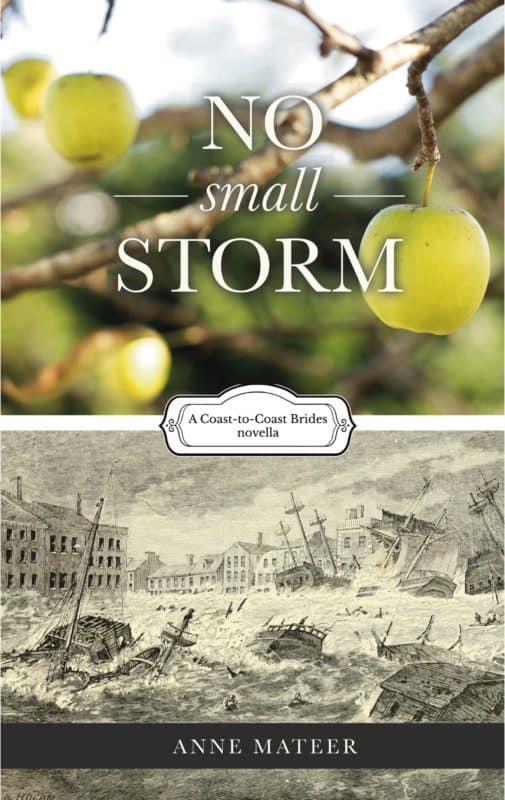 Books - D'Ann Mateer