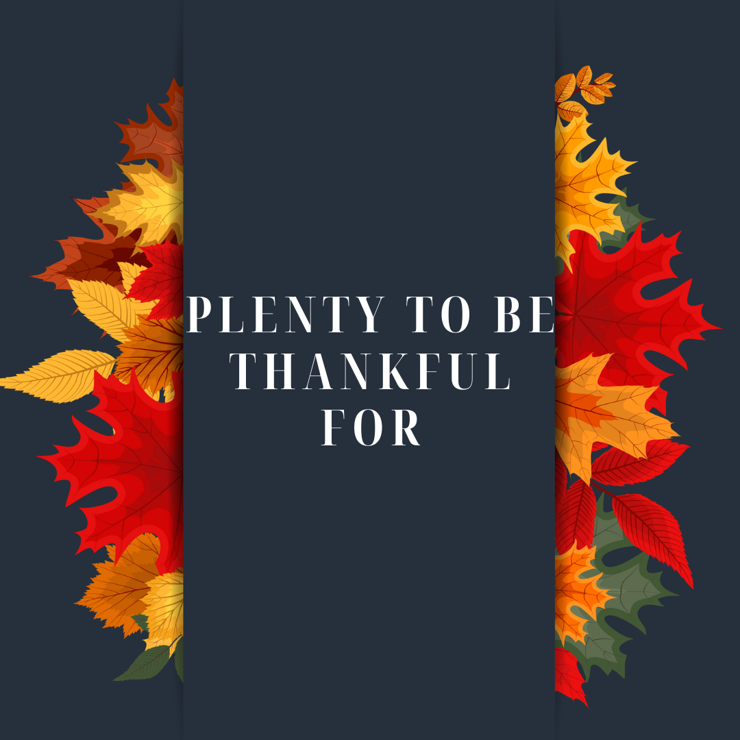 Plenty to be Thankful for - D'Ann Mateer