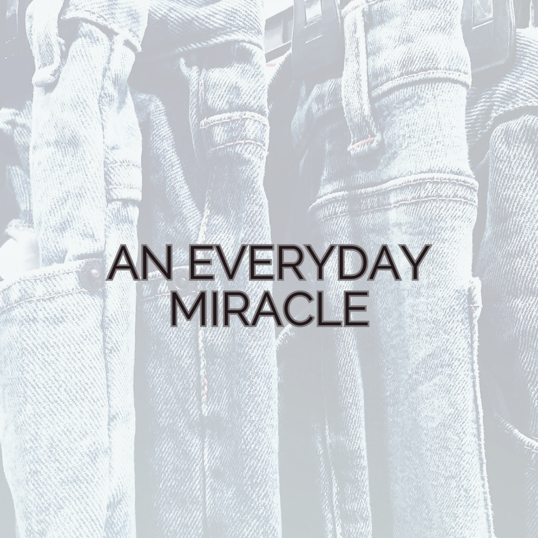An Everyday Miracle - D'Ann Mateer